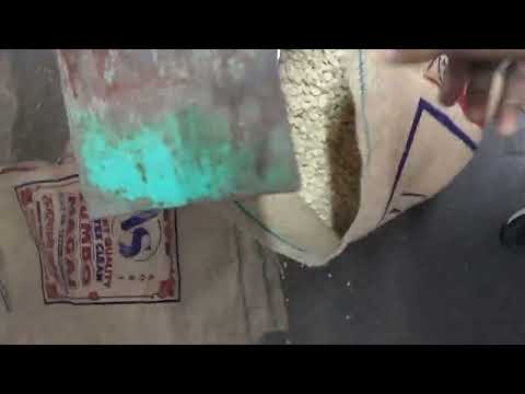 Magajtari - Wholesale Price & Mandi Rate for Magaj Seeds