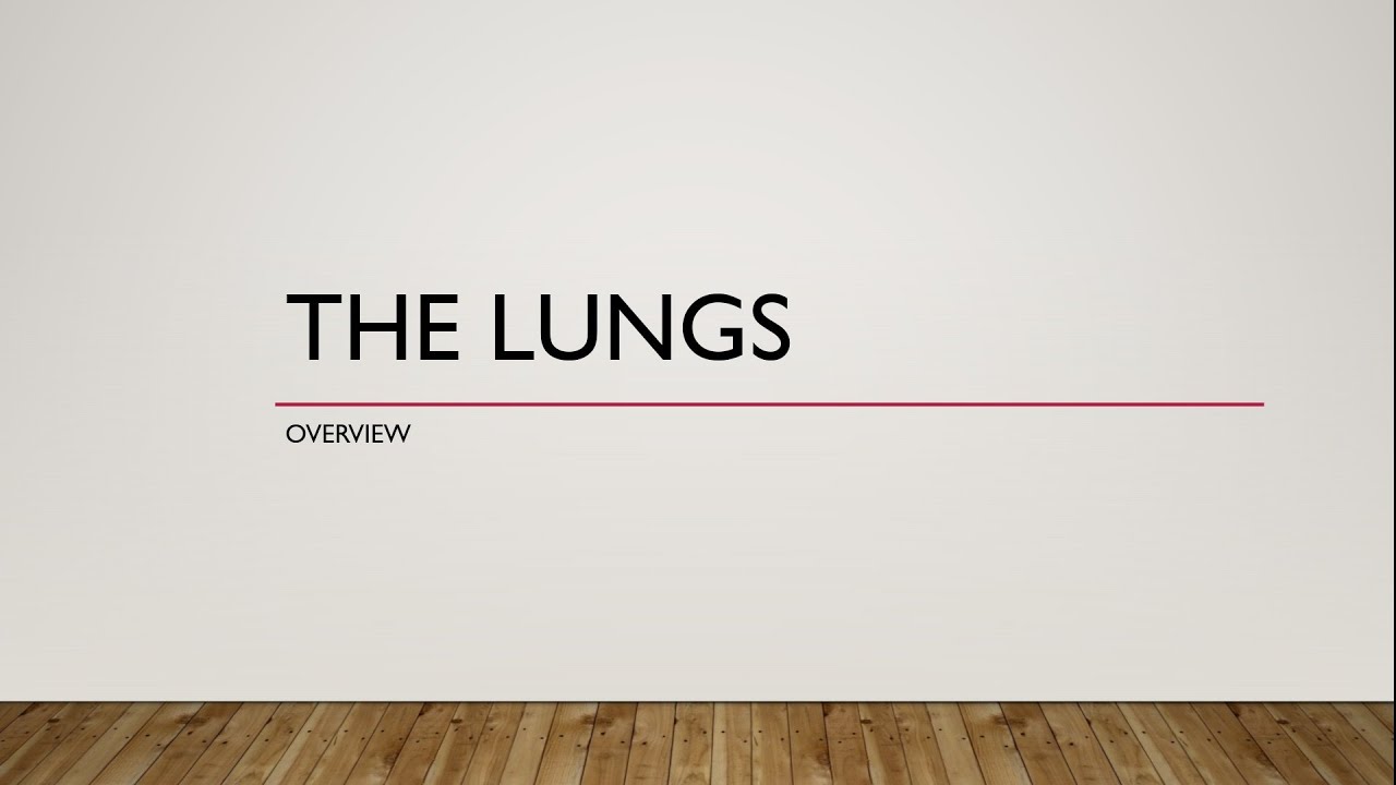 Radiology | The Lungs | A Concise Overview