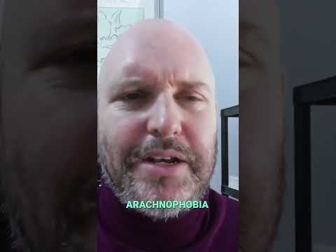 Conquering Arachnophobia: Understanding the Fear of Spiders