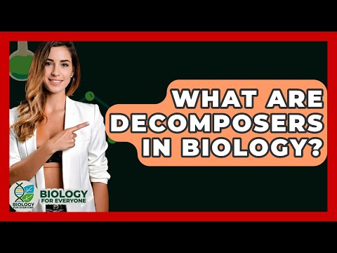 What Are Decomposers In Biology? - Biology For Everyone