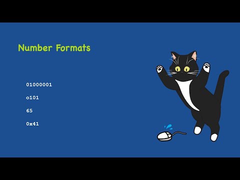 Number Formats