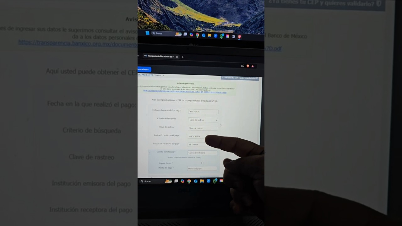 Track SPEI transfers with the BANXICO system