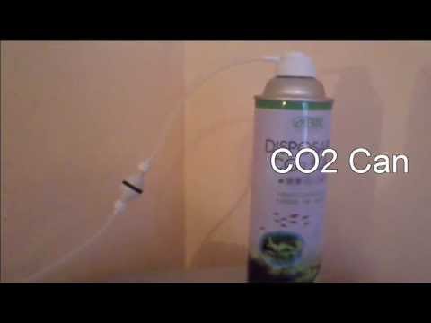 How to use Basic/Entry Level CO2 in aquarium? / Podstawowy CO2 w akwarium.