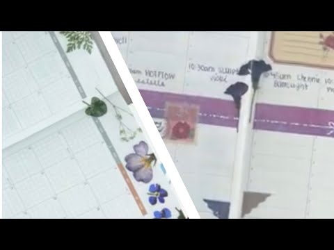 Planner Monday | TANmini + MUJI A5