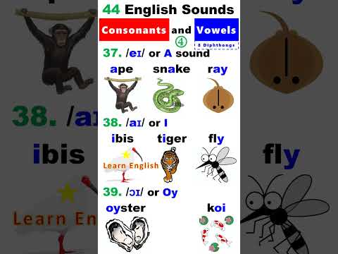 44 English Sounds 4 - 8 Diphthongs