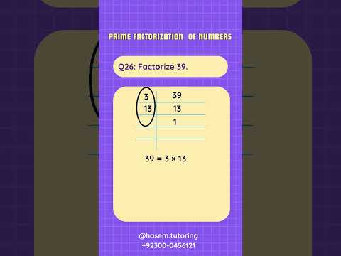 MIND-BLOWING Division Secrets Revealed For Prime Factorization of 39
