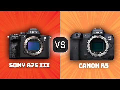 Sony A7S III vs Canon R5: Which Camera Is Better? (With Ratings & Sample Footage)