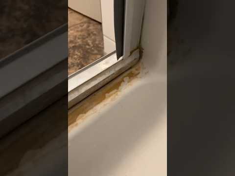 Cleaning a Shower Track with just Vinegar!