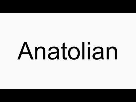 How to pronounce Anatolian