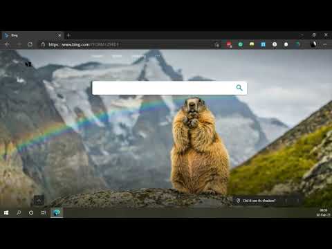 Norway and Groundhog Day Quizzes on Bing