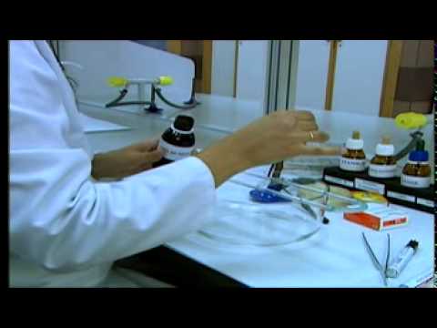 PARA TÉCNICOS DE LABORATORIO: Prueba de la Optoquina