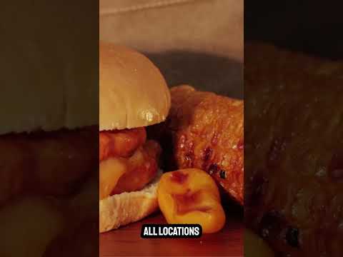 Is Wayback Burger Halal? | What Muslims Should Know 🍔🕌