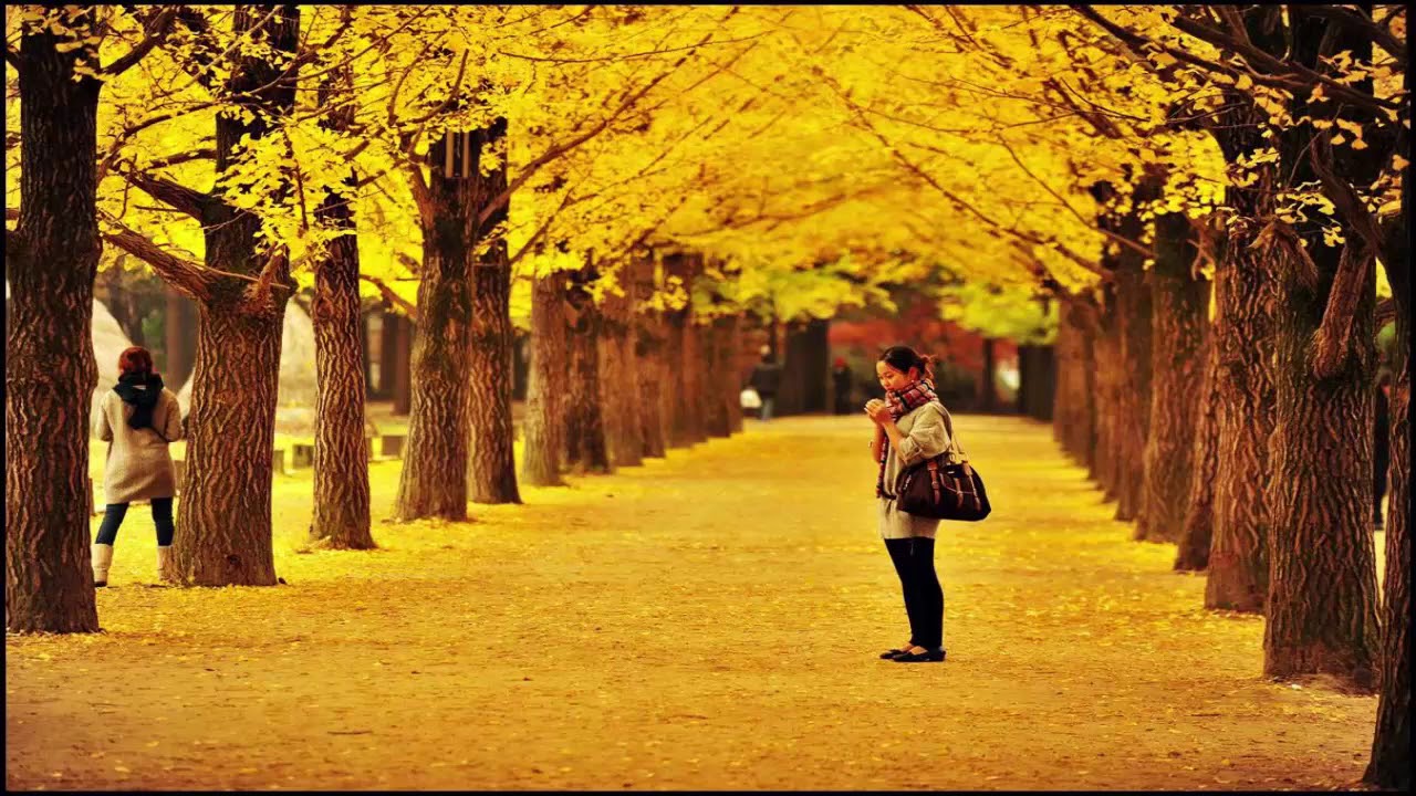 My Scenery 1