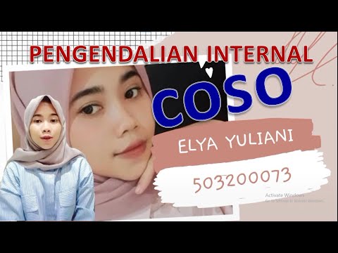 Pengendalian Internal COSO