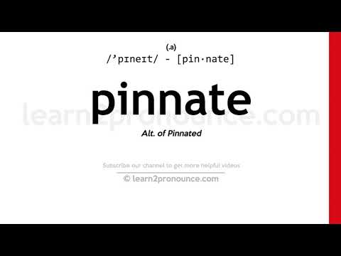 Pronunciation of Pinnate | Definition of Pinnate