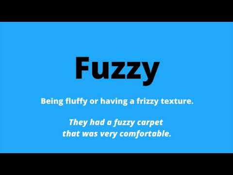 Learn English Vocabulary - Fuzzy