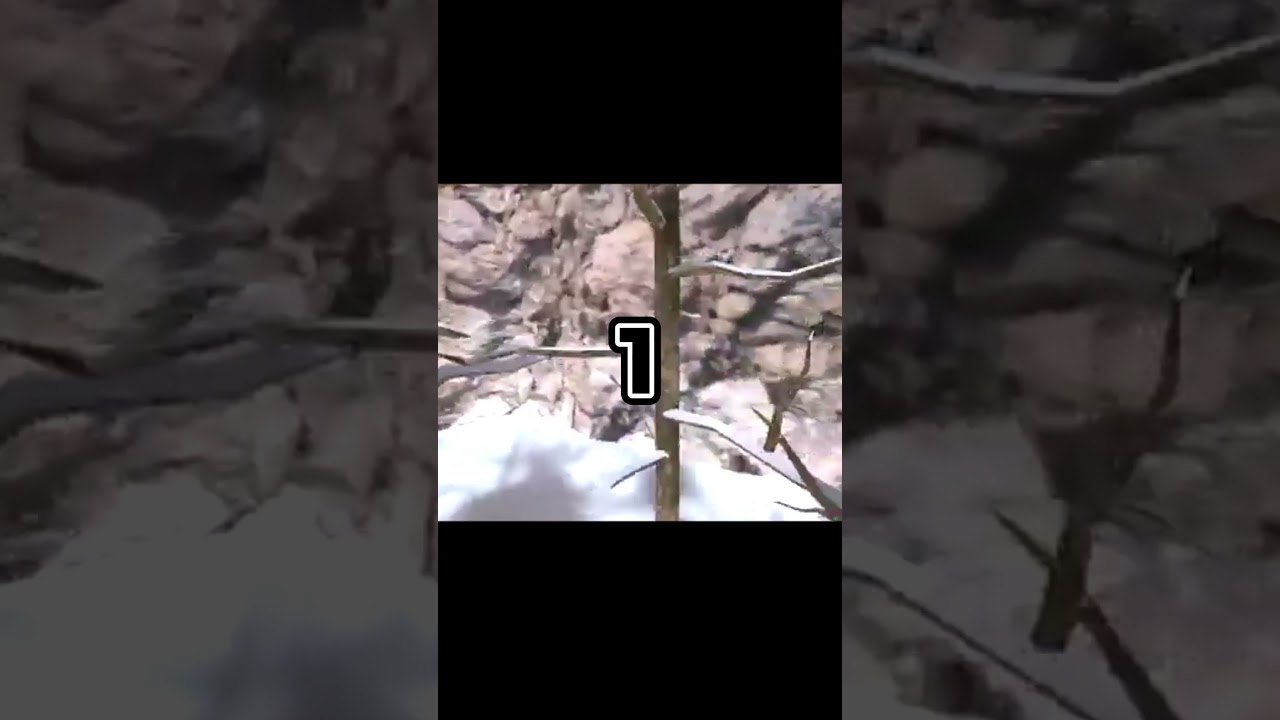 The BEST Songs To Listen To While Playing Gorilla tag #gorillatagfun #vr #gorillatag #funny