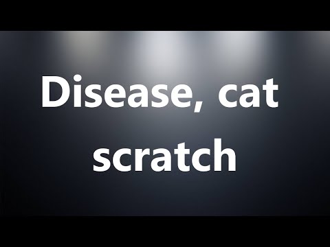 Disease, cat scratch - Medical Meaning and Pronunciation
