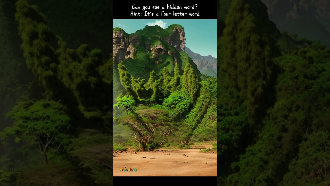 [Optical Illusion] Find the Hidden Faces or Word #funandgames