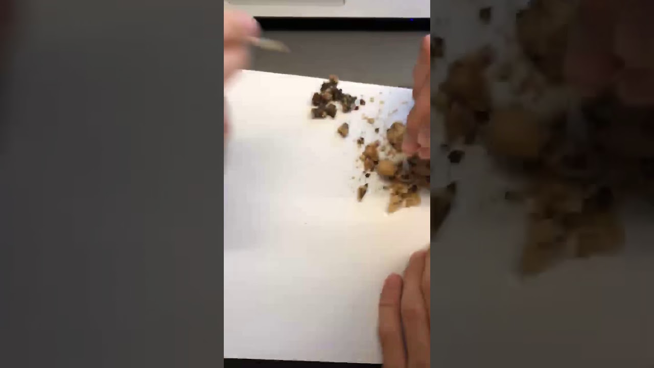 Cookie Mining Lao Time Lapse