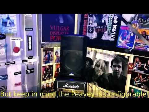 VLOG - Alto Tx312 P.A speaker vs Peavey DM112