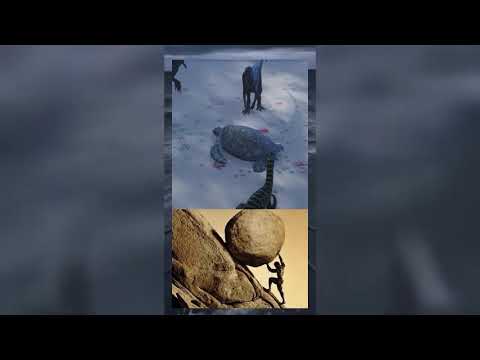 Steam Community :: The Isle