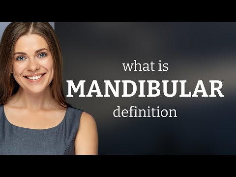 Mandibular • what is MANDIBULAR definition