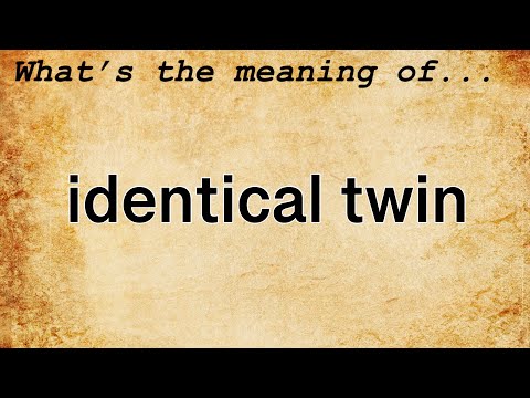 Identical Twin Meaning : Definition of Identical Twin