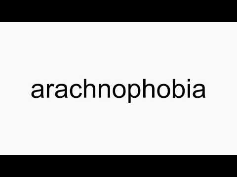 How to pronounce arachnophobia