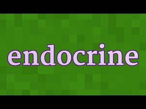 ENDOCRINE pronunciation • How to pronounce ENDOCRINE