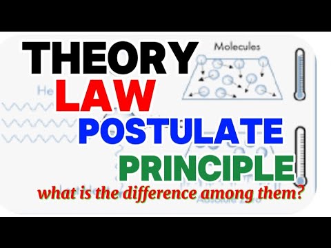 The REAL Difference Between Theory, Law, Postulate, Principle