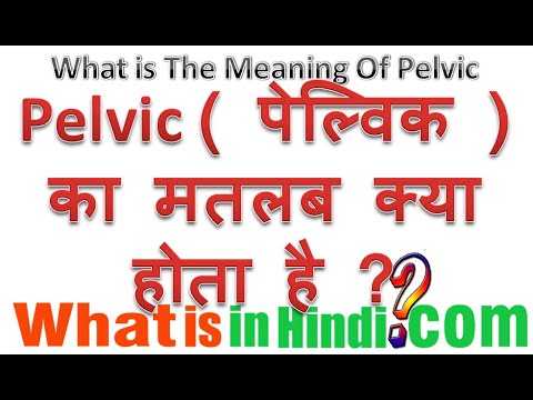 What is the meaning of Pelvic in Hindi | Pelvic ka matlab kya hota hai
