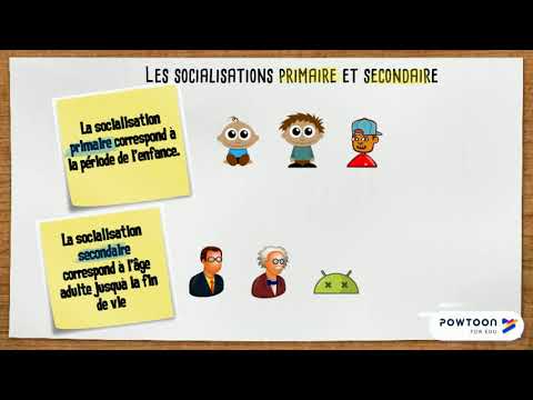 Le processus de socialisation