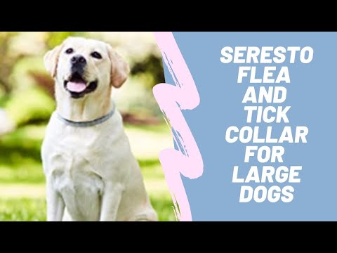 Seresto Flea and Tick Collar for Large Dogs | $100k Bonuses in Description
