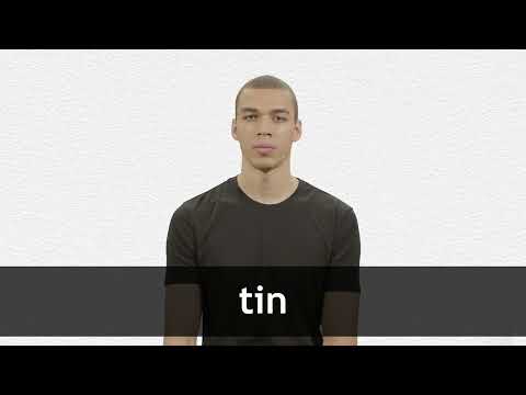 TIN definition in American English | Collins English Dictionary