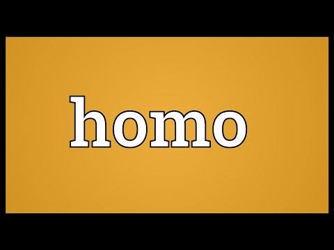 Homo Meaning
