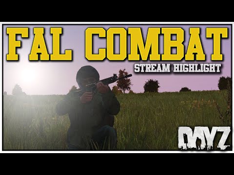Steam Community :: Video :: Fal Combat! - DayZ Standalone 0.60