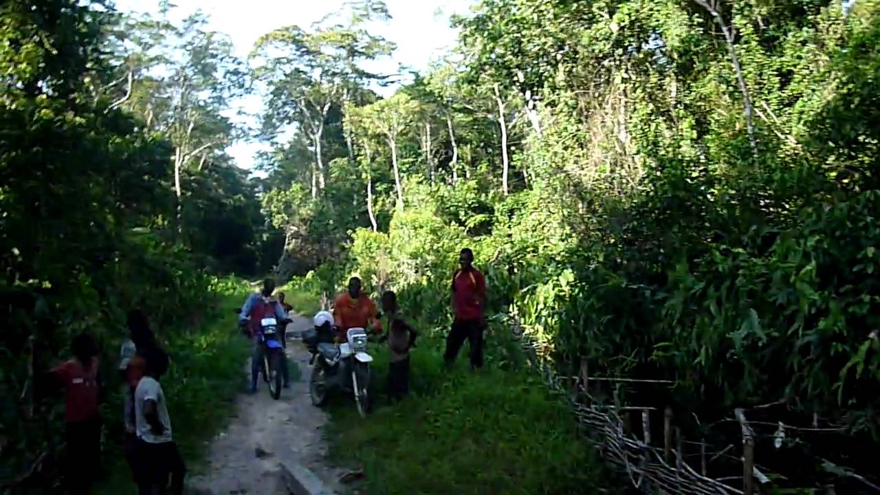 Biochar in Congo - logistics
