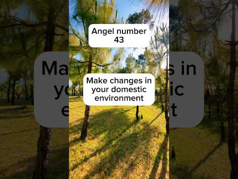 Angel number 43 meaning | 43 angel number meaning | #angelnumber43 #43angelnumber #43