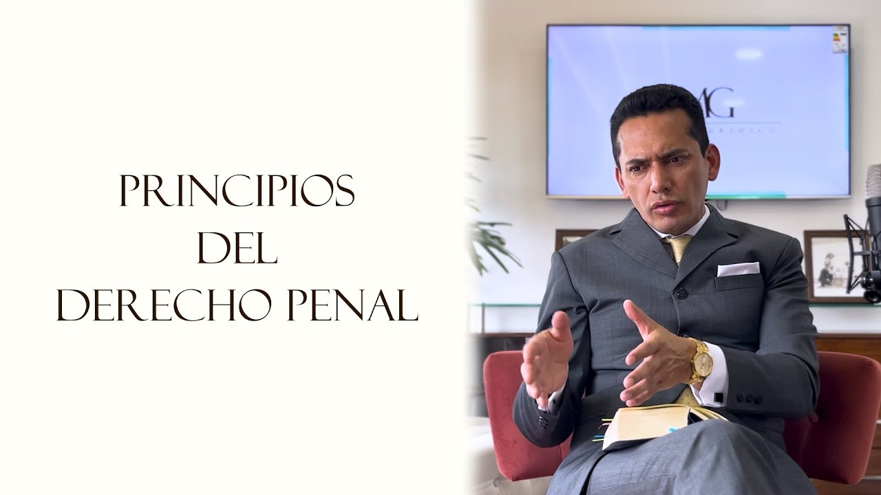 🇪🇨 Los Principios del DERECHO PENAL - Estudio del Código Orgánico Integral Penal