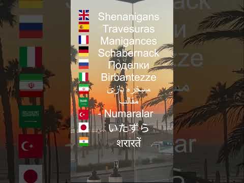 What is Shenanigans in your language? #english #spanish #french #arabic