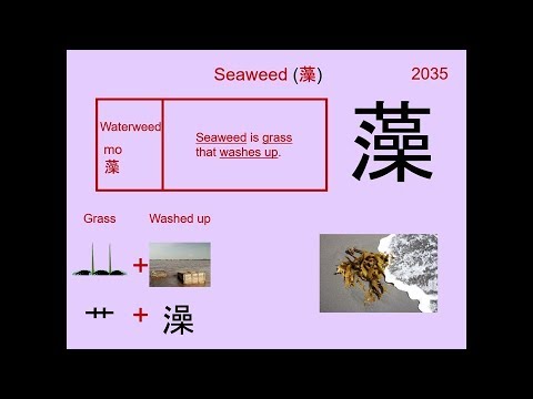 Chinese Character 藻 Seaweed