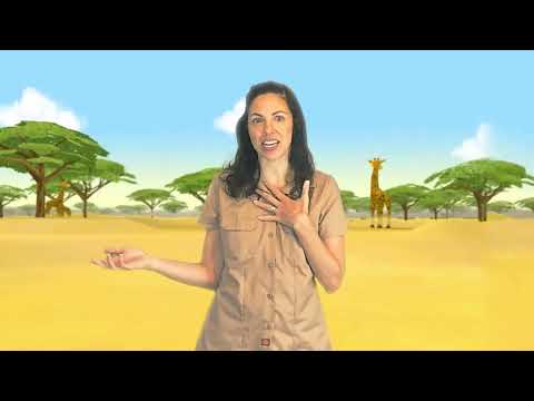 Spanish for Kids - Spanish Vocabulary and Grammar - Lessons 31 to 40