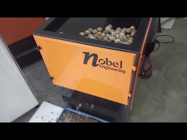Supari Cutting Machine - Fully Automatic Supari Cutting plant ...