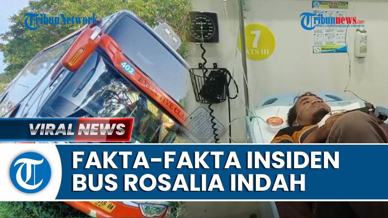 Deretan Fakta Kecelakaan Tunggal Bus Rosalia Indah di Tol Batang, Disebabkan Kelelahan Sopir ...