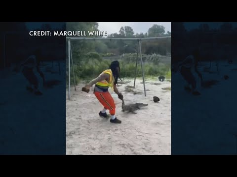Savannah man caught on camera dragging gator by its tail with his bare hands | WSB-TV