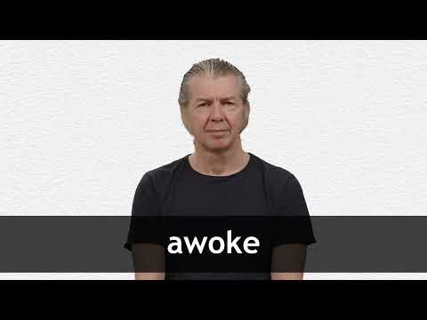 AWOKE definition in American English | Collins English Dictionary