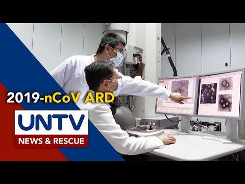 Scientists link endangered pangolin to novel coronavirus spread
