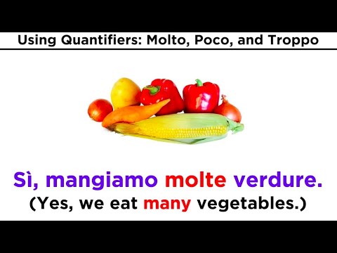 Use of the Words: Molto, Poco, and Troppo