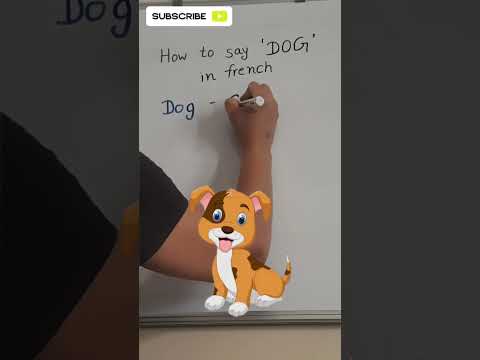 How to say DOG in French - Learn French - Onward Academy | #fyp #shorts #foryou #viral